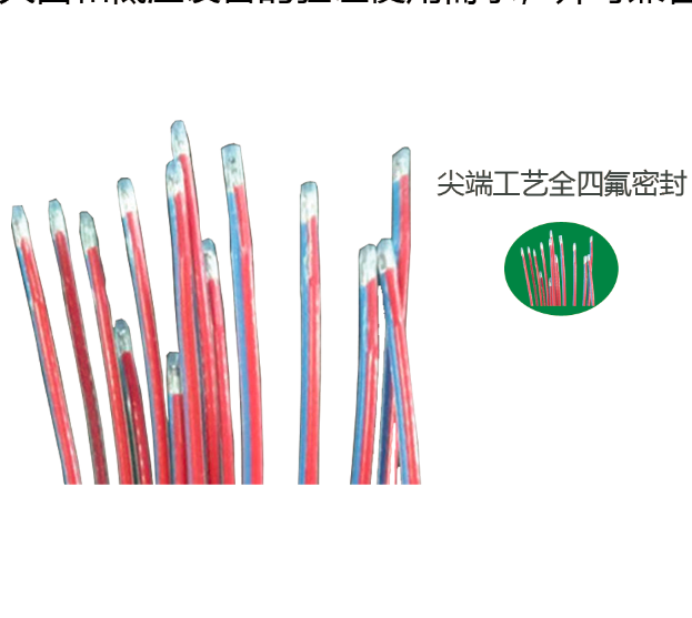 湿热温度验证探头，温度验证探头，高精度温度传感器